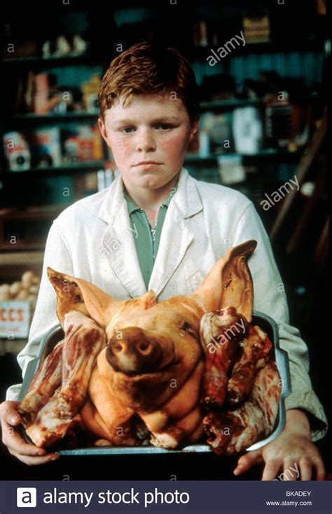 Pictures Of Eamonn Owens