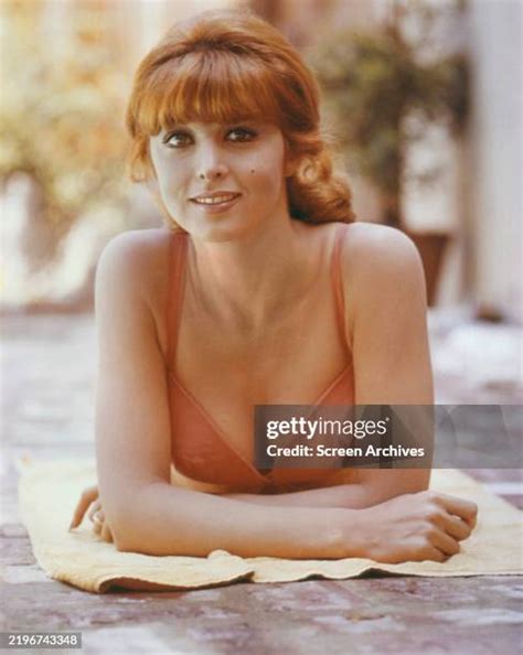 2 121 Tina Louise Photos And High Res Pictures Getty Images