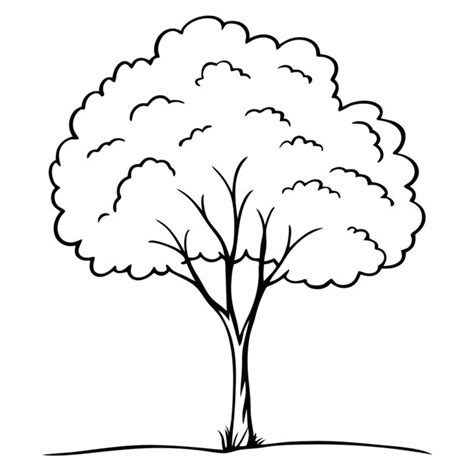 Ash Tree Vector Illustration Line Art Premium Ai Generated Vector
