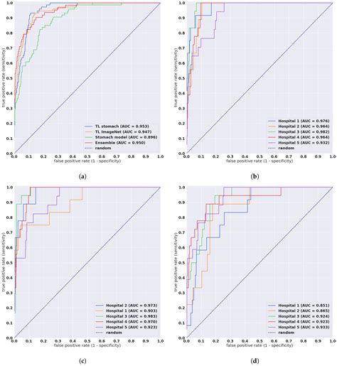 Deep Learning Models For Poorly Differentiated Colorectal