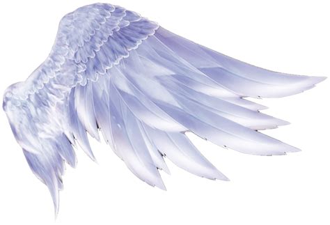 Cartoon Angel Wings Png At Anthony Menard Blog