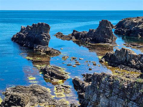 Корабите на Синеморец