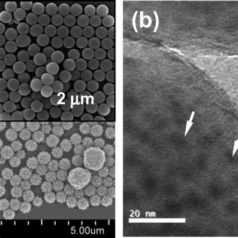 A X Ray Diffraction XRD Patterns Of SiO2 COOH A CdS NCs B And Download Scientific