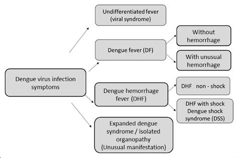 Dengue Classification According To World Health Organization Who