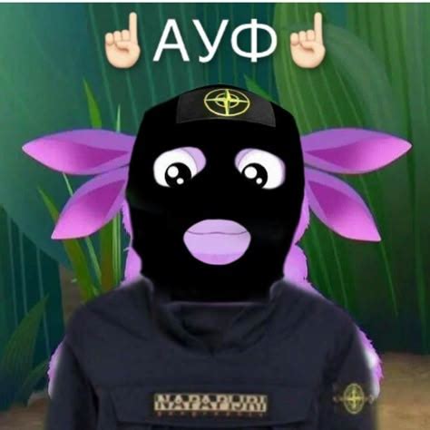 Смешные Авы Для Дискорда