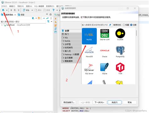 Mysql数据库学习基础之dbeaver下载与安装dbserver安装包 Csdn博客