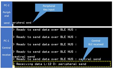 As The Bleappuartc Example Passes Over Time Sending And Receiving
