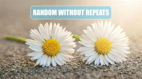 Generate Random Without Repeats Excel Tips Mrexcel Publishing