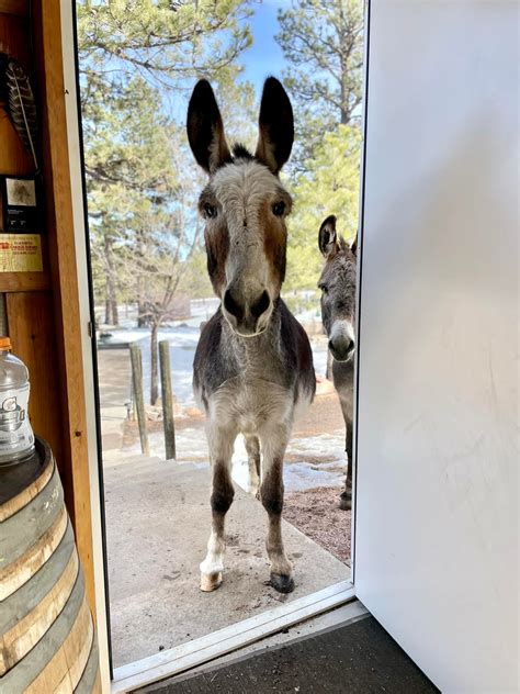 Brooke Benham Wright