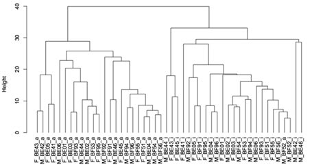 discrimination of the speaker from the north of brazil by modality