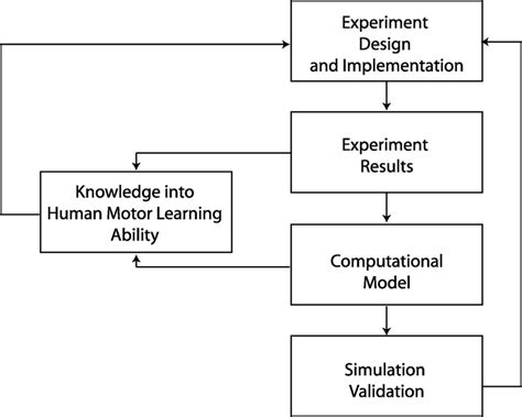 Overview Of The Procedure Used To Construct Computational Models Of Download Scientific Diagram