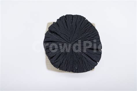 숯 원통 석탄 나무 공기정화 사진이미지일러스트캘리그라피 Sonnim작가