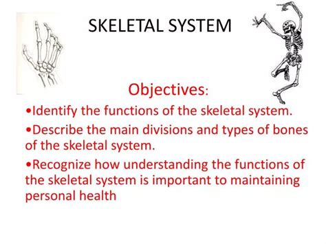 ppt skeletal system powerpoint presentation free download id 2593238