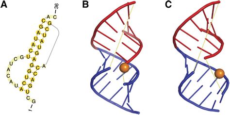 Prediction Of Geometrically Feasible Three Dimensional Structures Of Pseudoknotted Rna Through