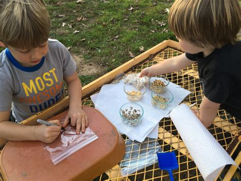 Are My Seeds Too Old How To Check Viability With A Seed Germination Test Gardens That Matter