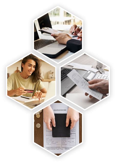 Pyramid Wealth Frequency