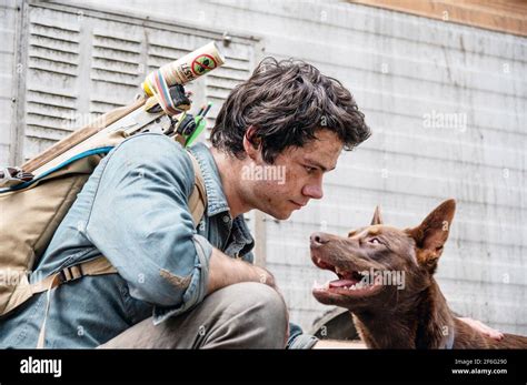 Love And Monsters Aka Love And Monsters Dylan Obrien 2020 Ph Jasin Boland © Paramount