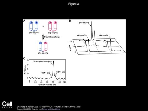 A Heterospecific Leucine Zipper Tetramer Ppt Download