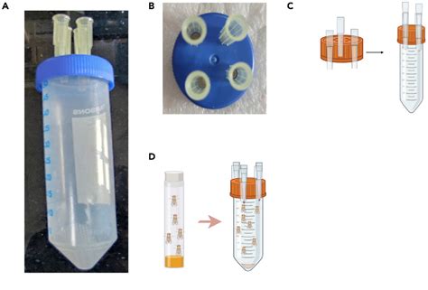 figure 1 from modified capillary feeder assay using micro tips to
