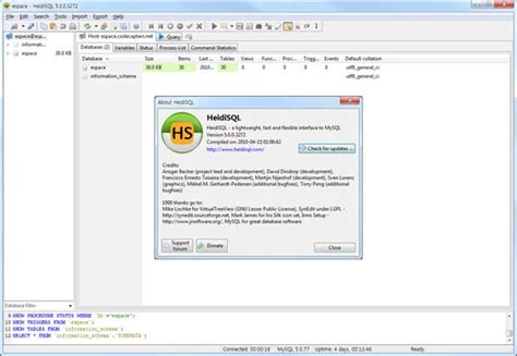 MySQL GUI 관리툴 HeidiSQL CHICPRO