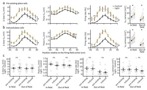 inhibitory suppression of heterogeneously tuned excitation enhances