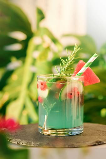 모히토 청량 음료 신선한 알코올 녹색 칵테일 또는 라임 붉은 열매 얼음 로즈마리를 잔에 곁들인 레모네이드 배경에 녹색 몬스터