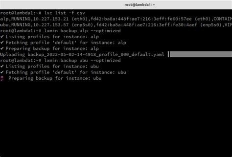 Backing Up Lxd Instances With Lxmin