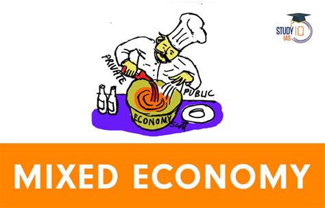 Mixed Economy Examples