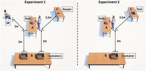 Schematic Representation Of The Design Used In Experiments 1 And 2