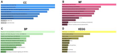 Figure 6 From Next Generation Sequencing Analysis Of Brca1 2 Genes Reveals Clinically