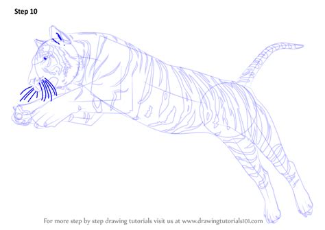 Tiger Pouncing Drawing