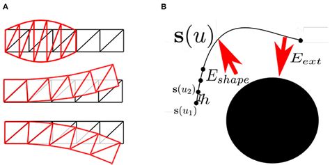 Frontiers Modeling Of Deformable Objects For Robotic Manipulation A Tutorial And Review