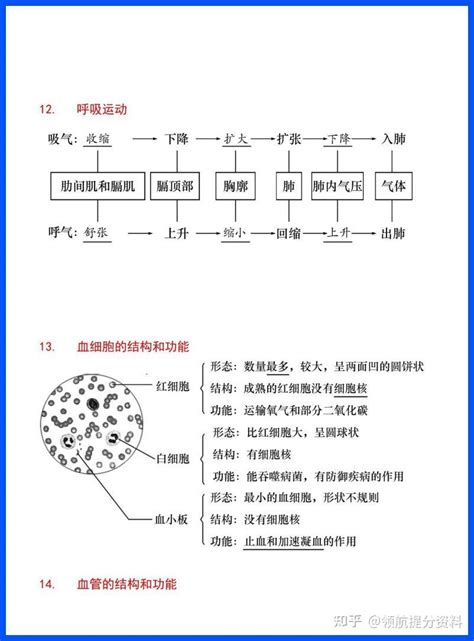 初中生物识图题（超全版 答题模板（1） 知乎