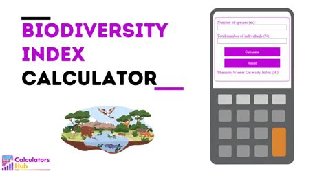 Simplify Your Calculations With Ease Calculatorshub