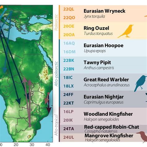 Two Uavs Track And Detect The Moving Target Download Scientific Diagram