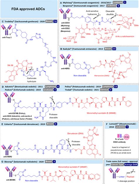 Kadcyla Structure