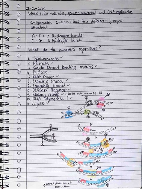 Mol Bio Do Notes Pdf