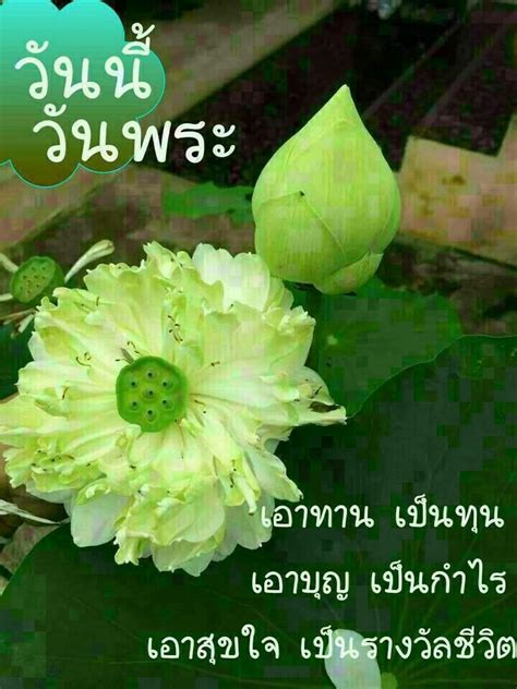 วันพระ สวัสดีตอนเช้า อรุณสวัสดิ์ พระพุทธเจ้า
