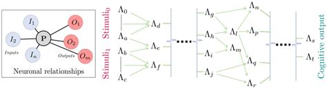 Relationship Between Inputs And Outputs In A Modelled Neuron Left