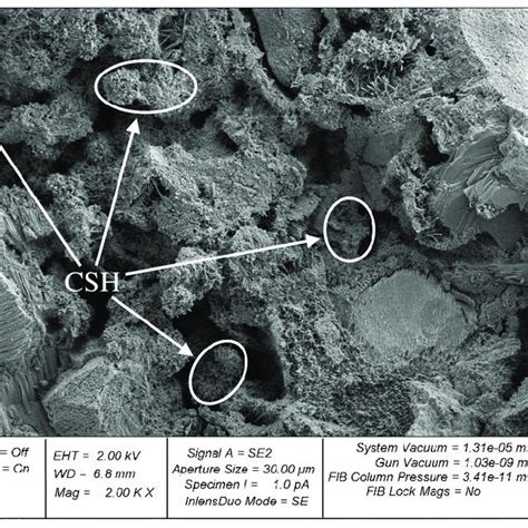 Sem Image Of The Structure Of The Hardened Cement Paste Of The Control Download Scientific