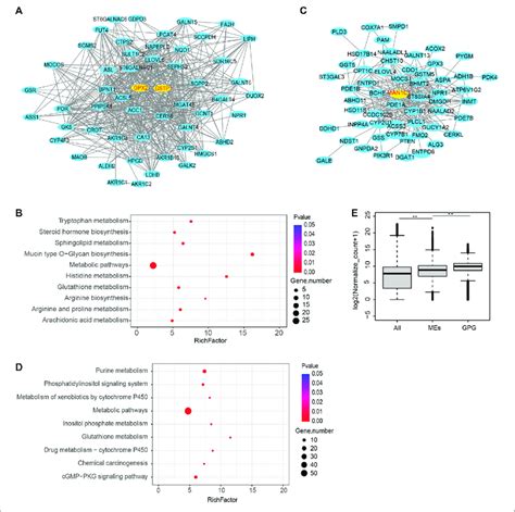 Ppi Network Of The Two Modules A Ppi Network Was Analyzed Using Download Scientific