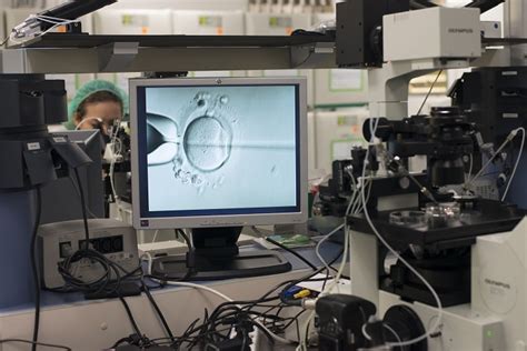 ICSI Technique For Male Infertility IVI