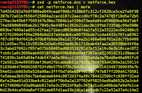 The Perils Of Inadequate Key Size In Public Cryptosystems Infosec