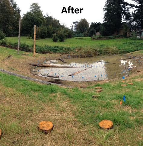 Ephemeral Wetlands Bcwf Bog Blog