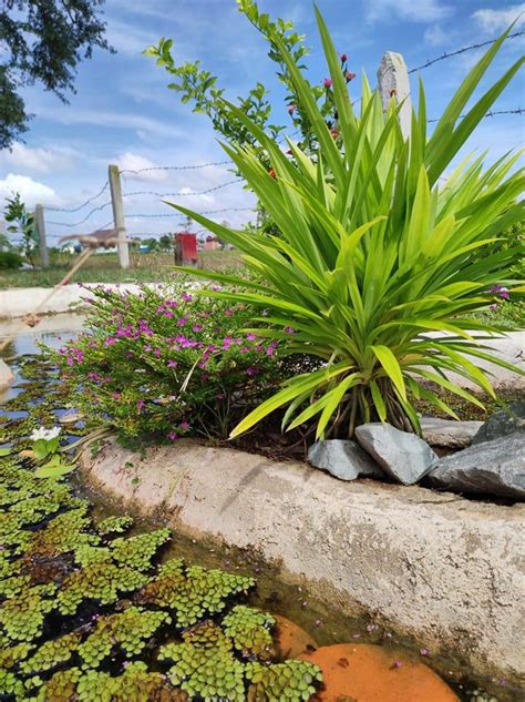 សេចក្ដីជូនដំណឹង ភូមិបន្ទាយមាស ឃុំតាជេស មន្ទីររៀបចំដែនដី នគរូបនីយកម្ម សំណង់ និងសុរិយោដី