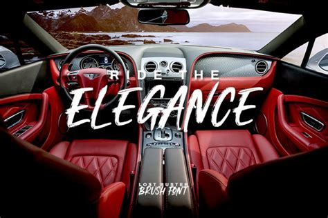 Lost Buster Script Font Dita Type