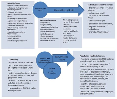 Major Depressive Disorder In Various Views 2777 Words Research