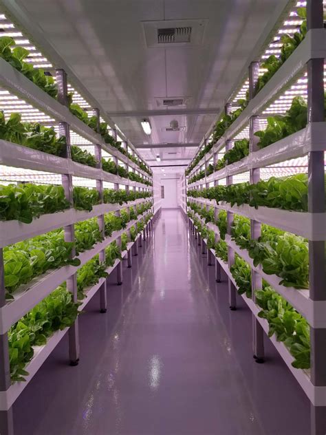 Indoor Vertical Farming Equipment