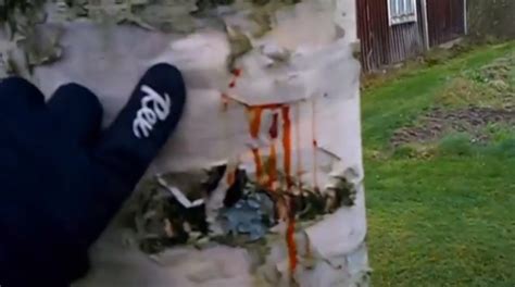 Nature S Weirdest Events BLEEDING Tree Gives Scientist The Shock Of His Life Mirror Online