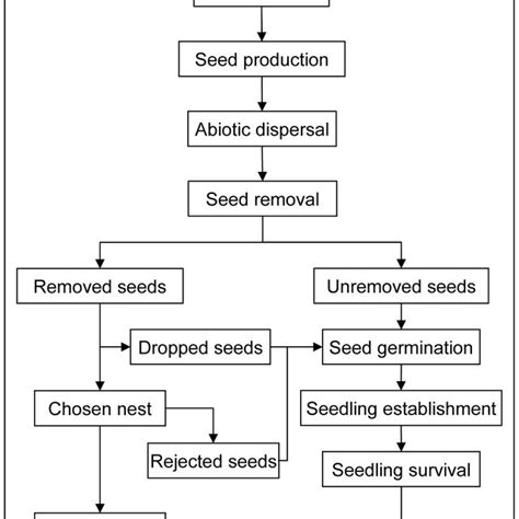 Simple Control Flow Diagram Of The Simulation Algorithm Ecological Download Scientific Diagram